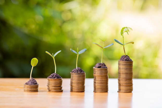 Boglehead's Beginner Guide: 7 Best Vanguard Index Funds Boglehead's Beginner Guide: 7 Best Vanguard Index Funds