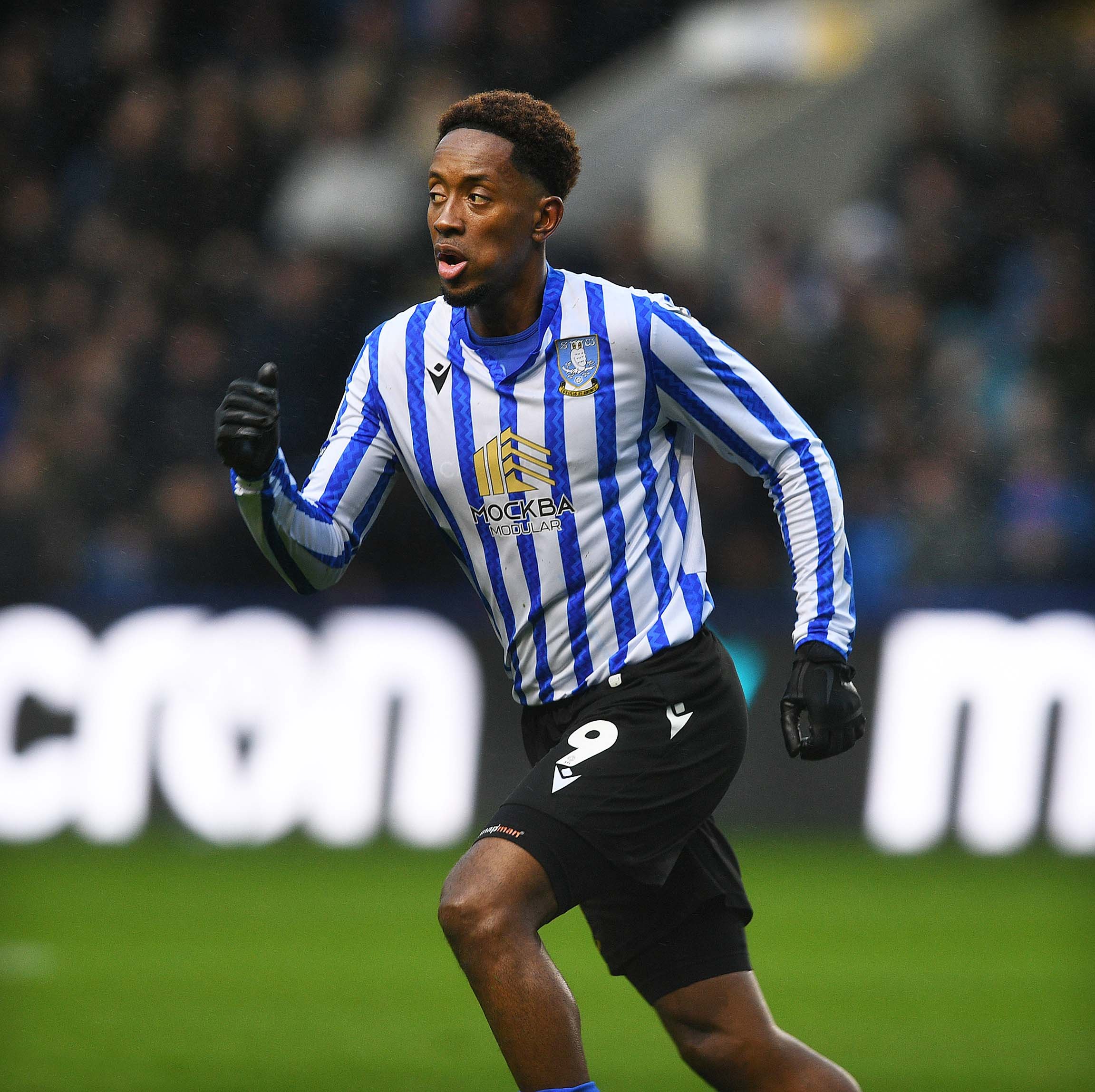 Jamal Lowe breaks silence on 'unstable' Sheffield Wednesday crisis ...