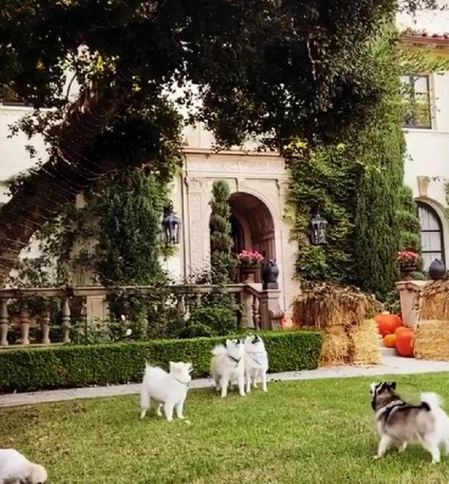 Ozzy Osbourne's secret home that fans didn't know about
