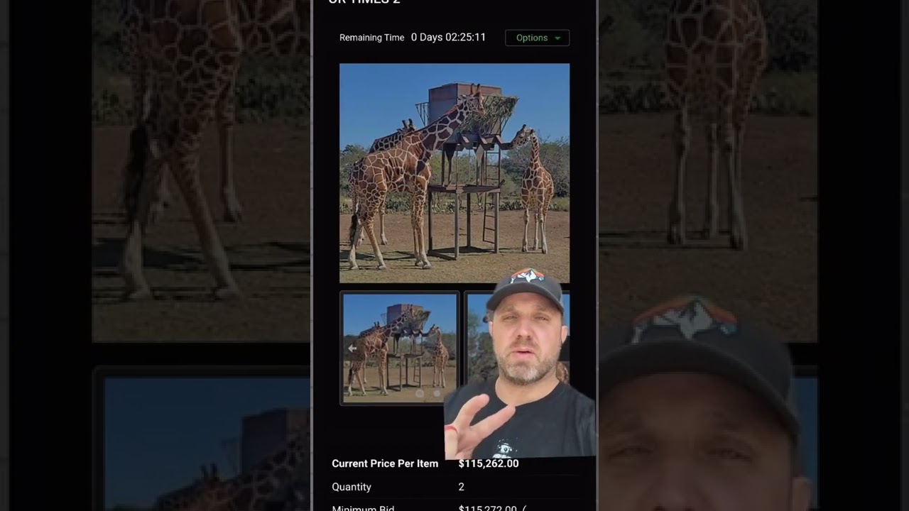 Everything You Should Know About the Exotic Animal Market