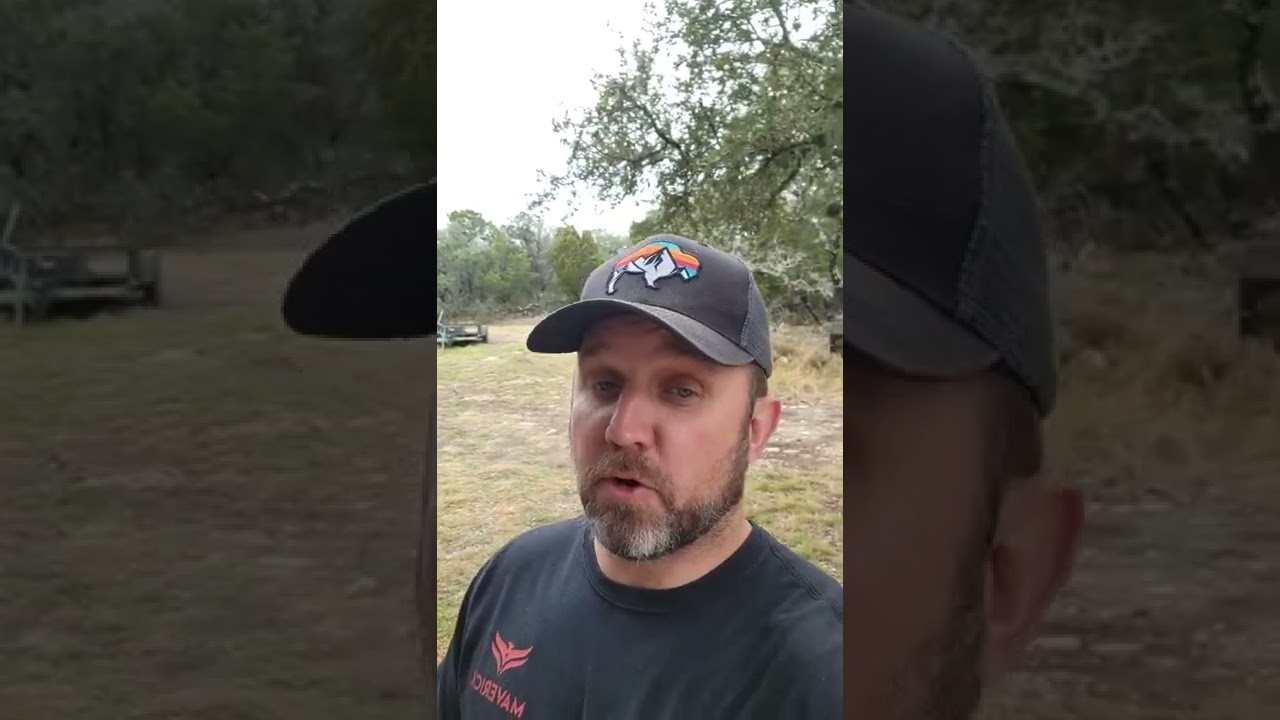 Feral Pigs Cost Billions Annually in the U.S.