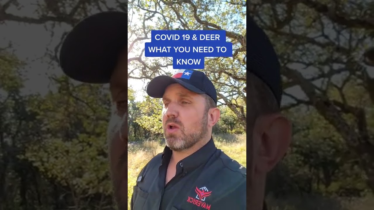SARS Covid-19 Exposure in Wild White-Tailed Deer – What You Should Know!
