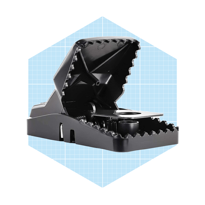 Top Picks for Rat Traps to Rid Your Indoor & Outdoor Space of Rodents