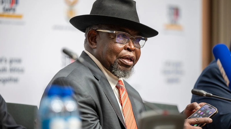 Treasury proposes R350 SRD grant extension funded from VAT Increase