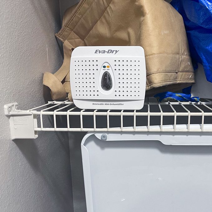 5 best small dehumidifiers to fight dampness, tested and reviewed
