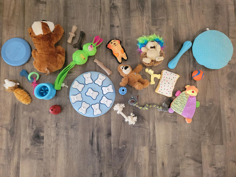 The best puppy toys for solo and interactive play, tested and reviewed