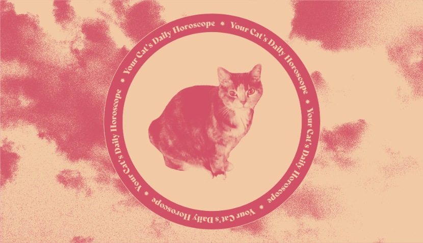 Taurus Horoscope: Your Jan. 5 Forecast for Every Part of Your Life