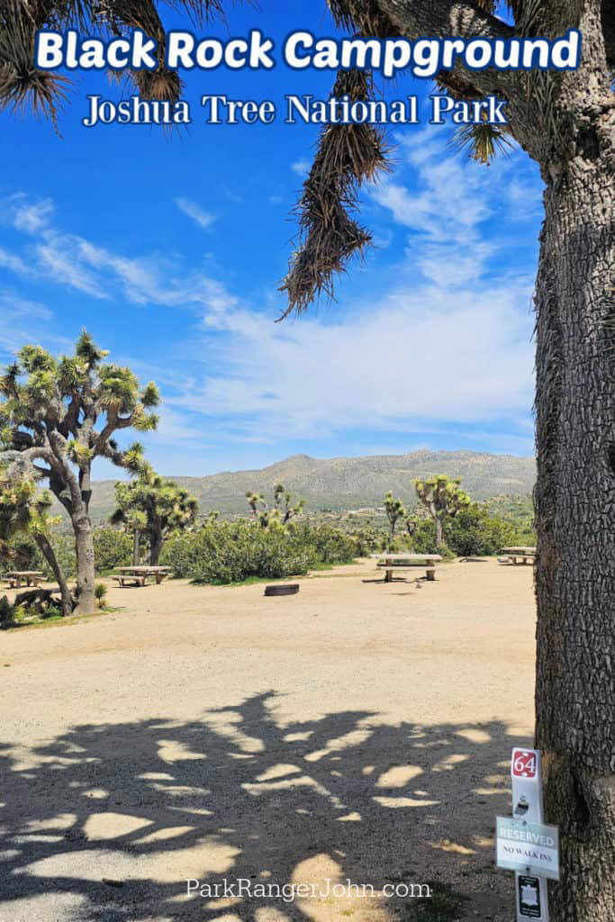 Guide to Black Rock Campground in Joshua Tree National Park