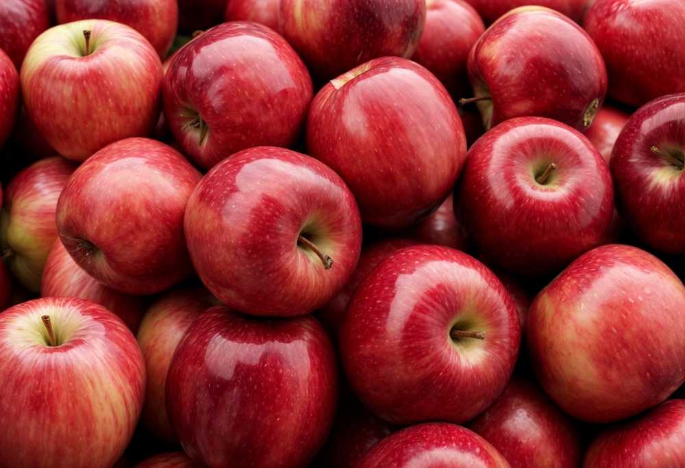 10 Best Apples Ranked by Flavor and Crunch