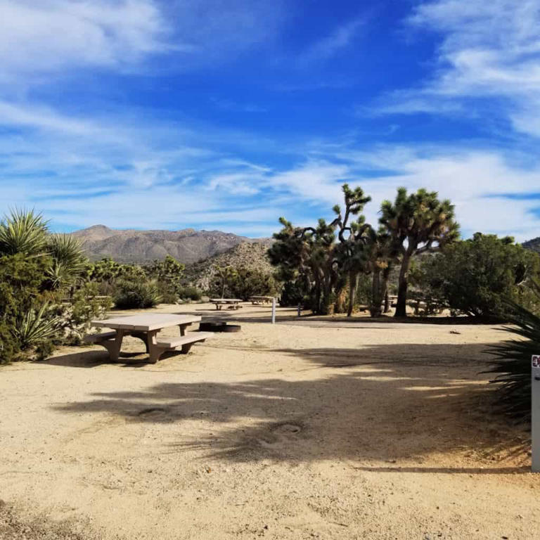 Guide to Black Rock Campground in Joshua Tree National Park