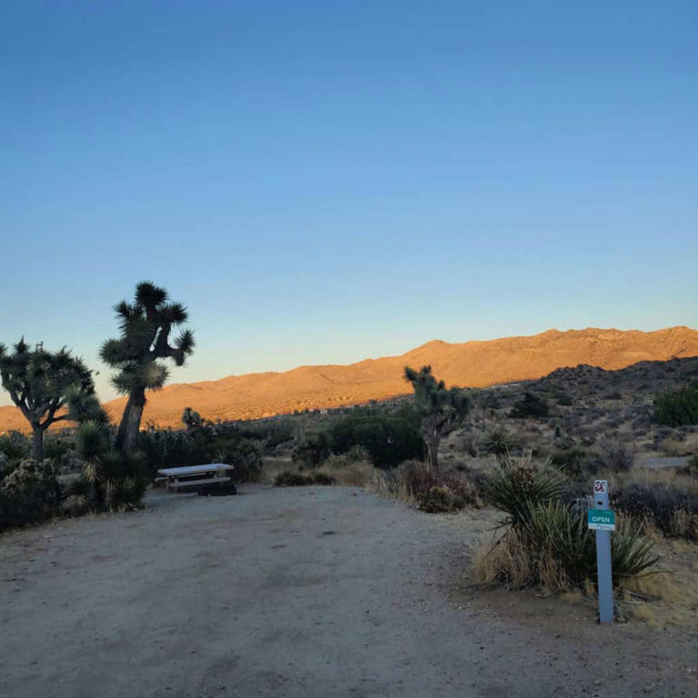 Guide to Black Rock Campground in Joshua Tree National Park