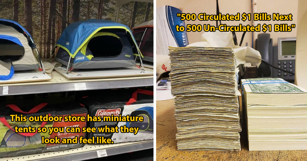 33 Examples of the Random Yet Awesome World Around Us