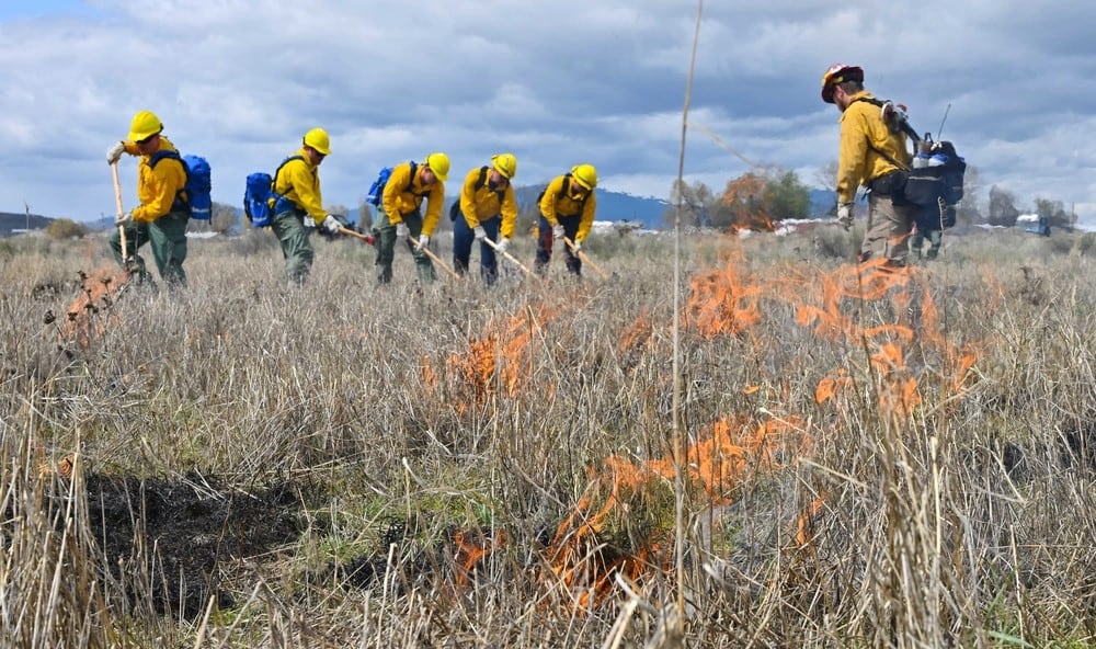 Trump plans to merge wildland firefighting efforts into one agency