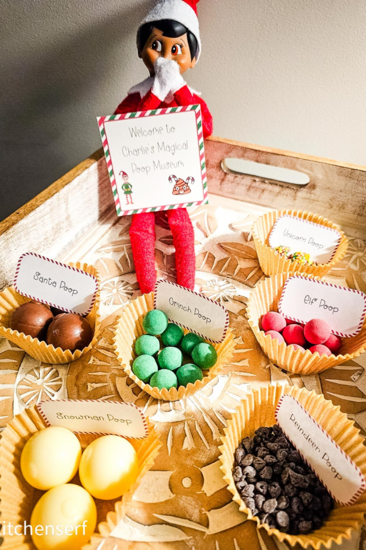 Elf on Shelf Poop Museum