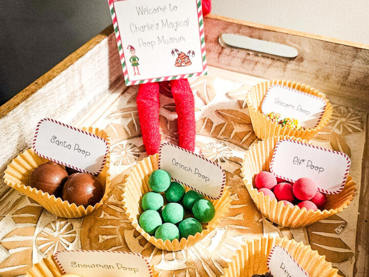 Elf on Shelf Poop Museum