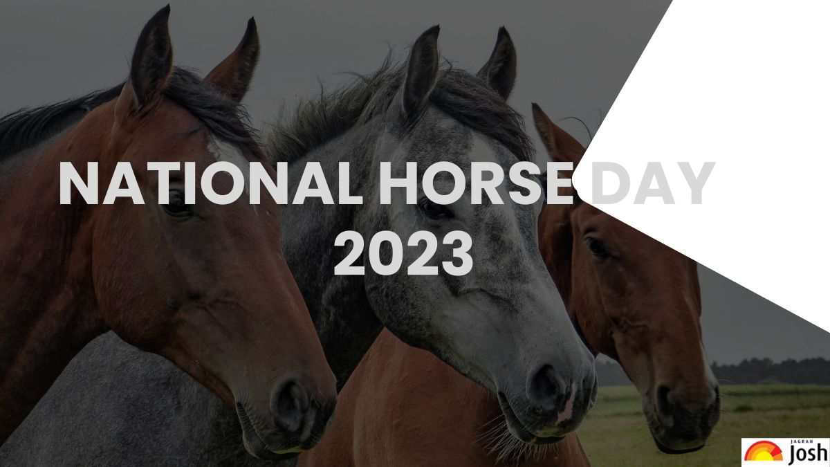 National Horse Day 2024: Date, Theme, History, Significance ... National Horse Day 2024: Date, Theme, History, Significance ...