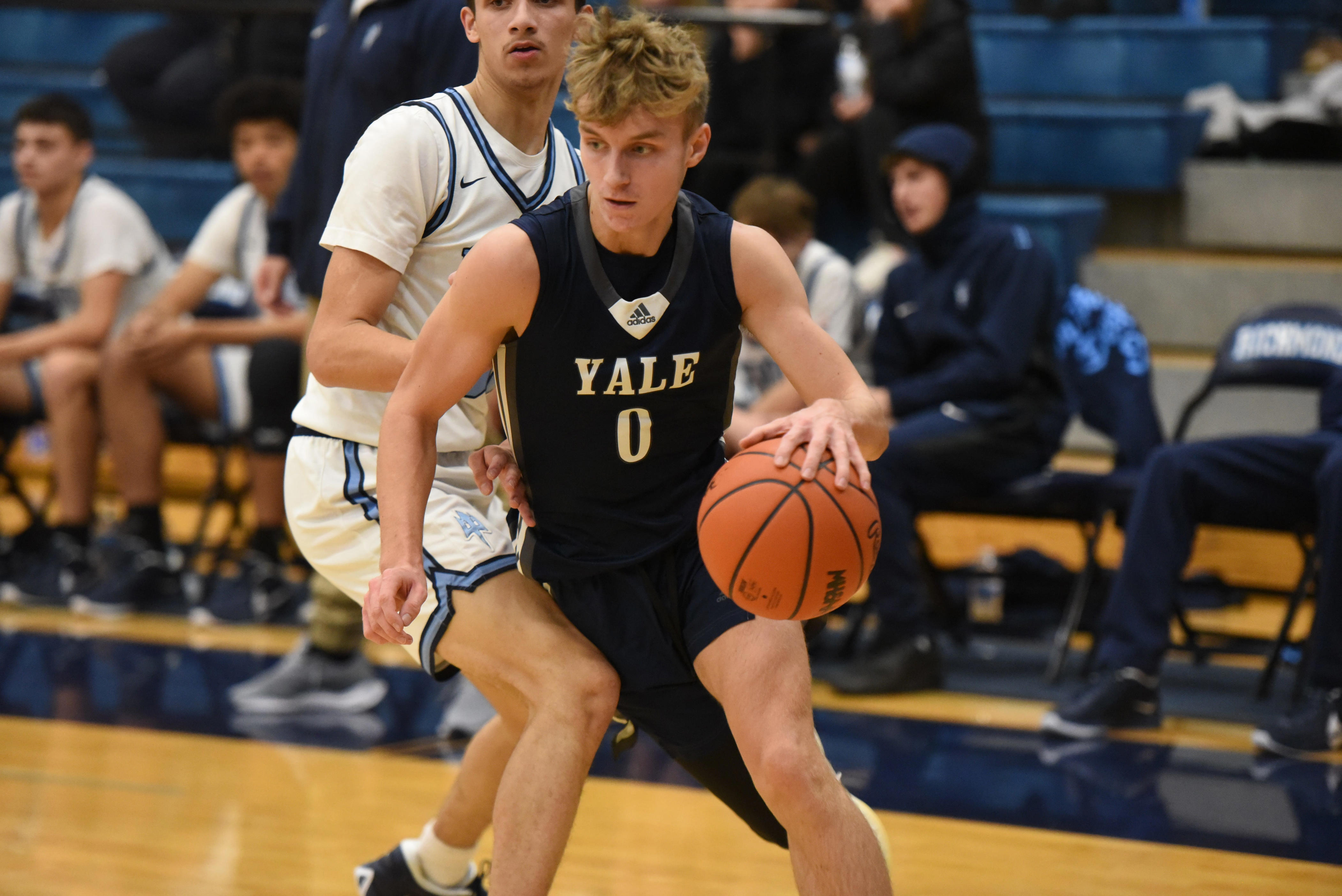 Boys basketball roundup: St. Clair, Yale capture Division 2 district ...