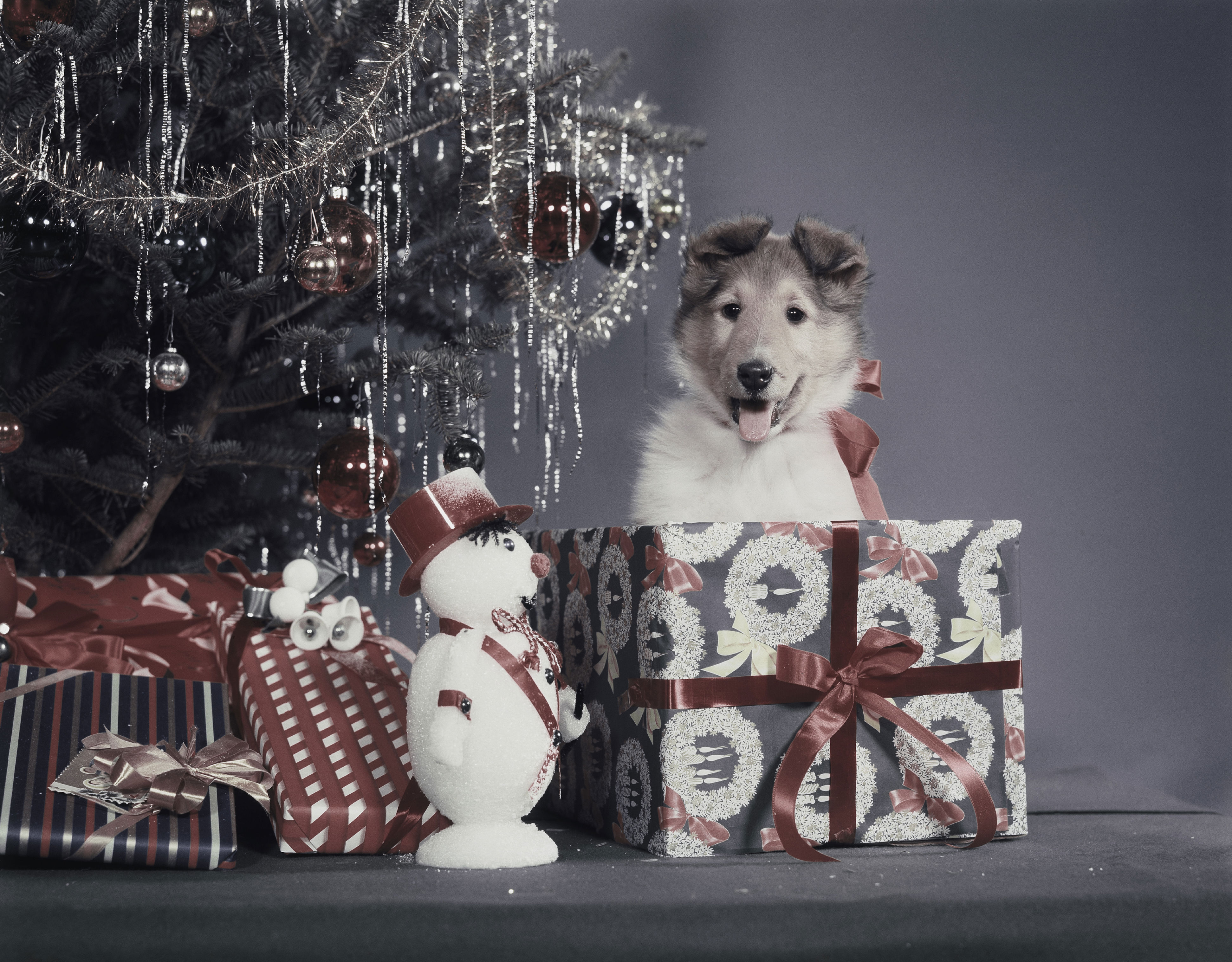 9 Dangerous Christmas Decorations That Make the Naughty List