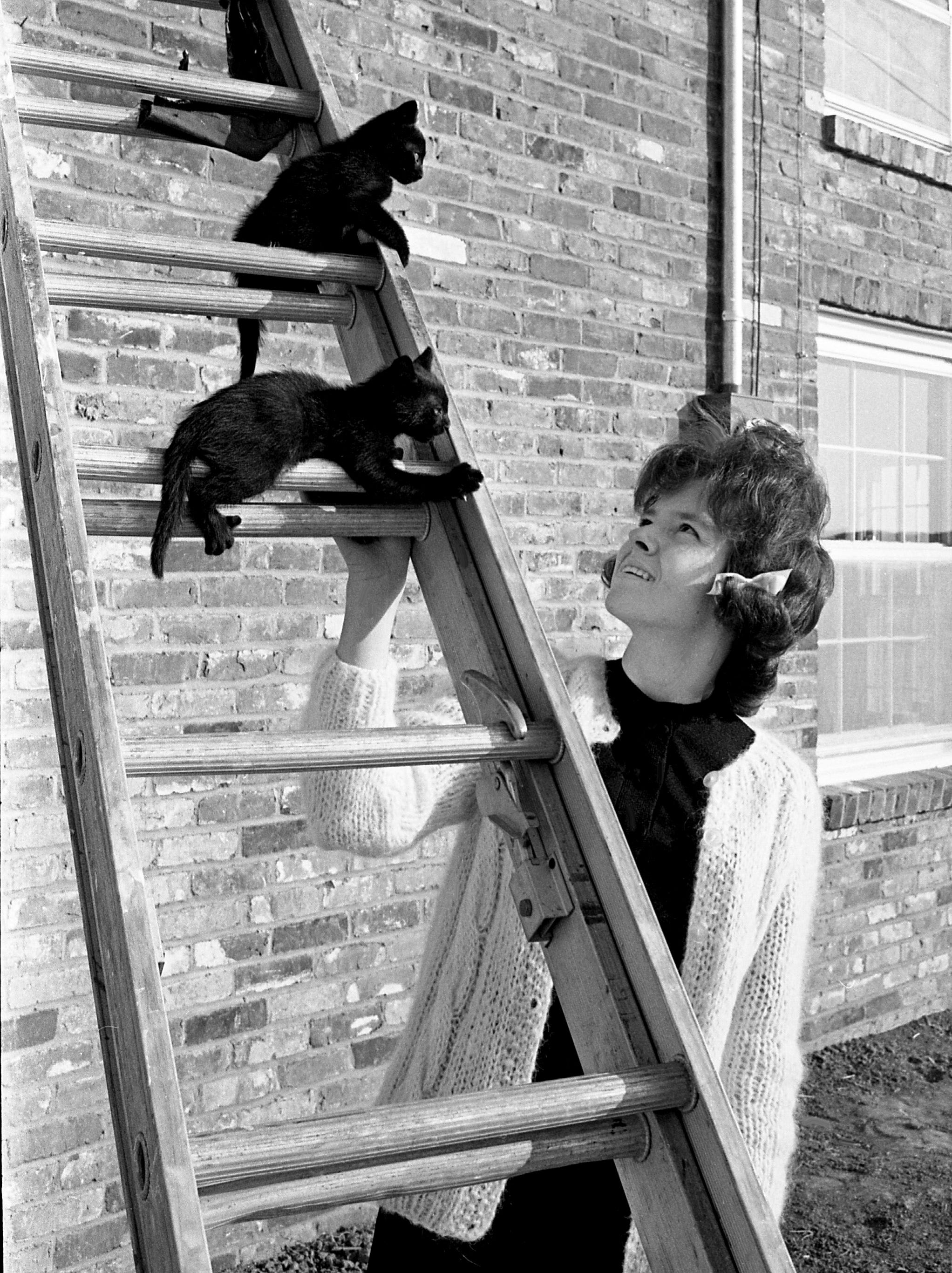 Friday the 13th. Why is it unlucky? More on the superstitions, facts ...