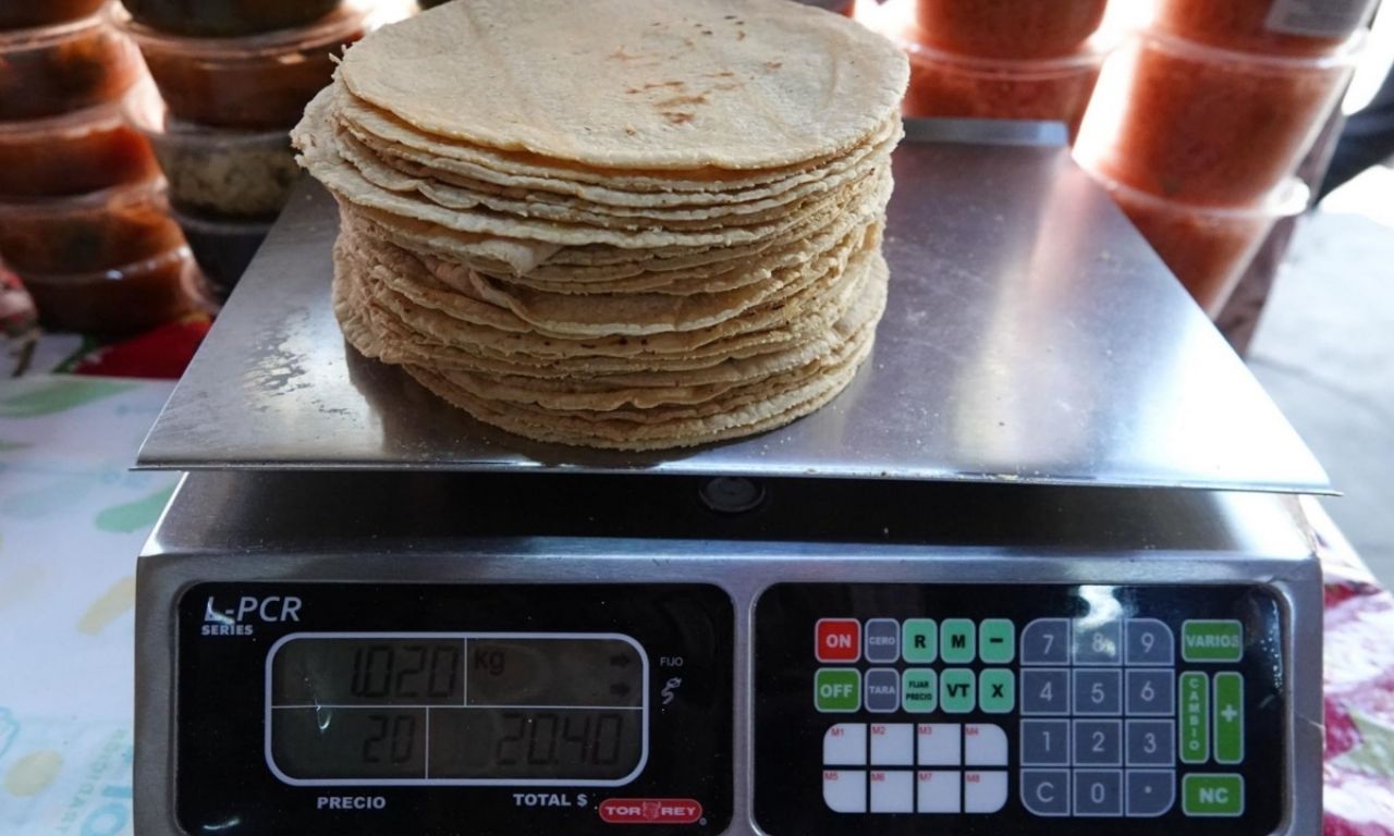 Profeco: monitoreo de precios de kilo de tortilla se realiza para ...