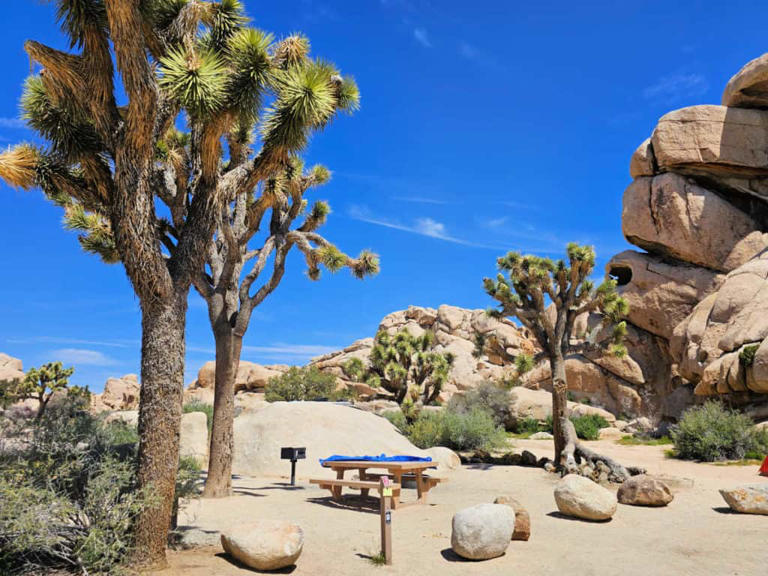Hidden Valley Campground - Joshua Tree National Park