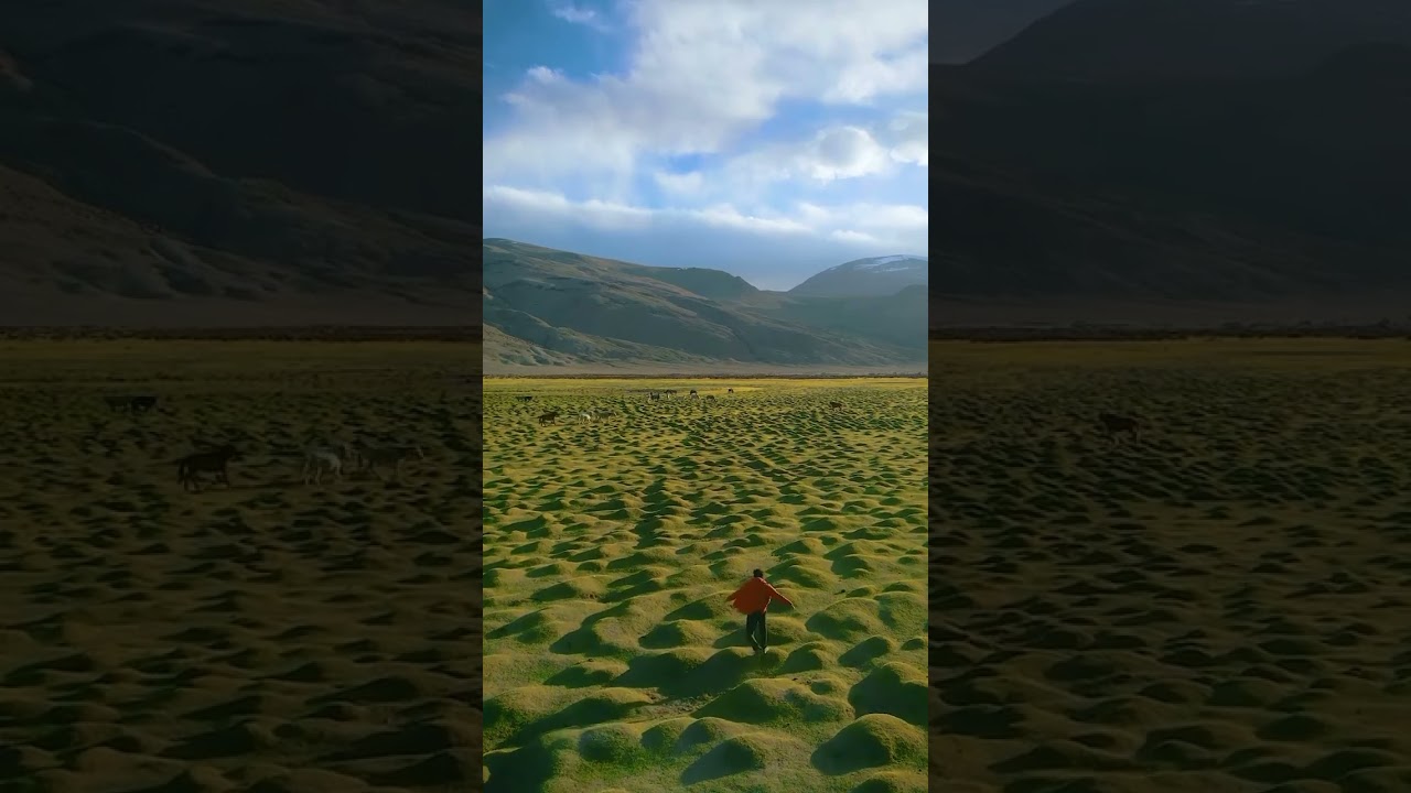 "Puga Valley Magic—Discover the Beauty of Ladakh, India"