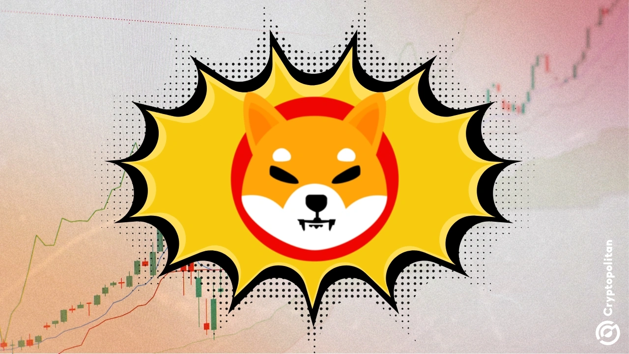 Shiba Inu coin price prediction 2025-2031: Will SHIB skyrocket soon?