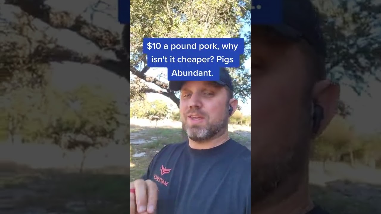 $10 Bacon and the Feral Pig Explosion – My Thoughts!