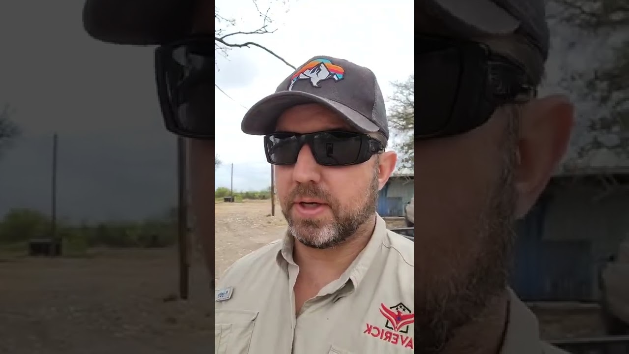 Essential Whitetail Management Tips for High-Fence Properties