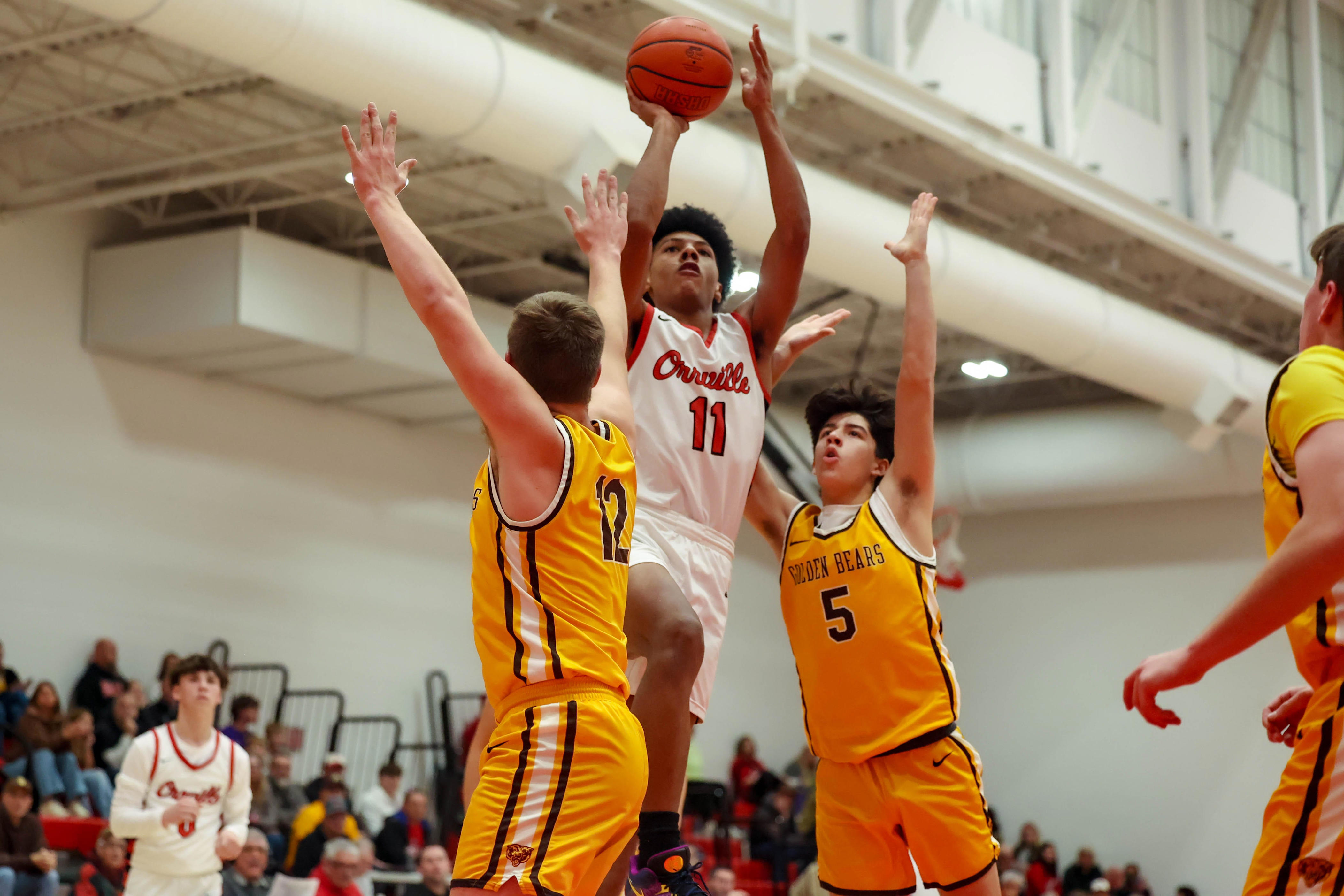 Kodah Allen pours in 21 to lead Orrville; Ron Bricker posts double ...
