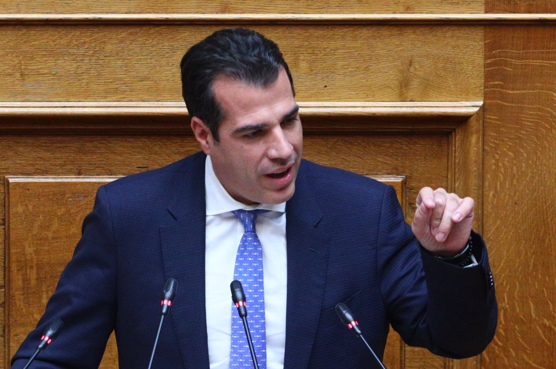 Θ. Πλεύρης: Μαζικά μηνύματα σε παράνομους μετανάστες να έρθουν στην ...