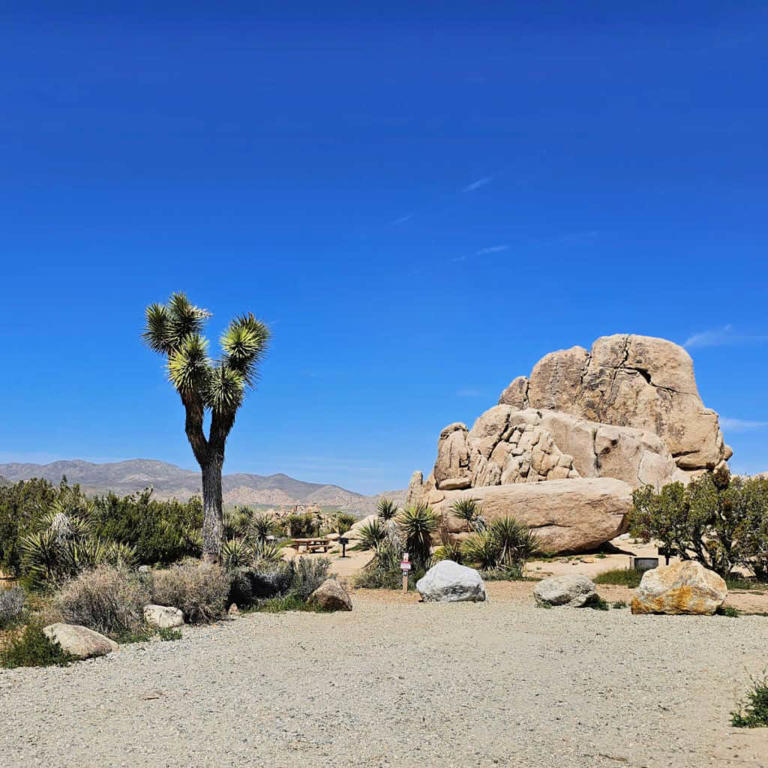 Ryan Campground - Joshua Tree National Park