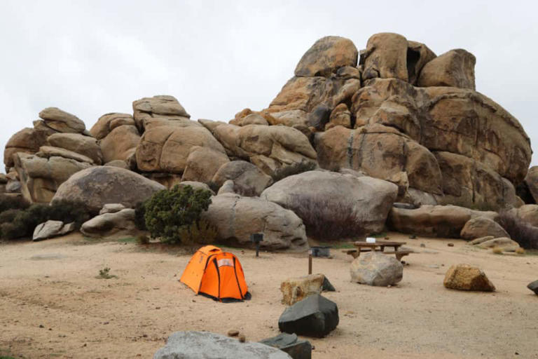 Ryan Campground - Joshua Tree National Park