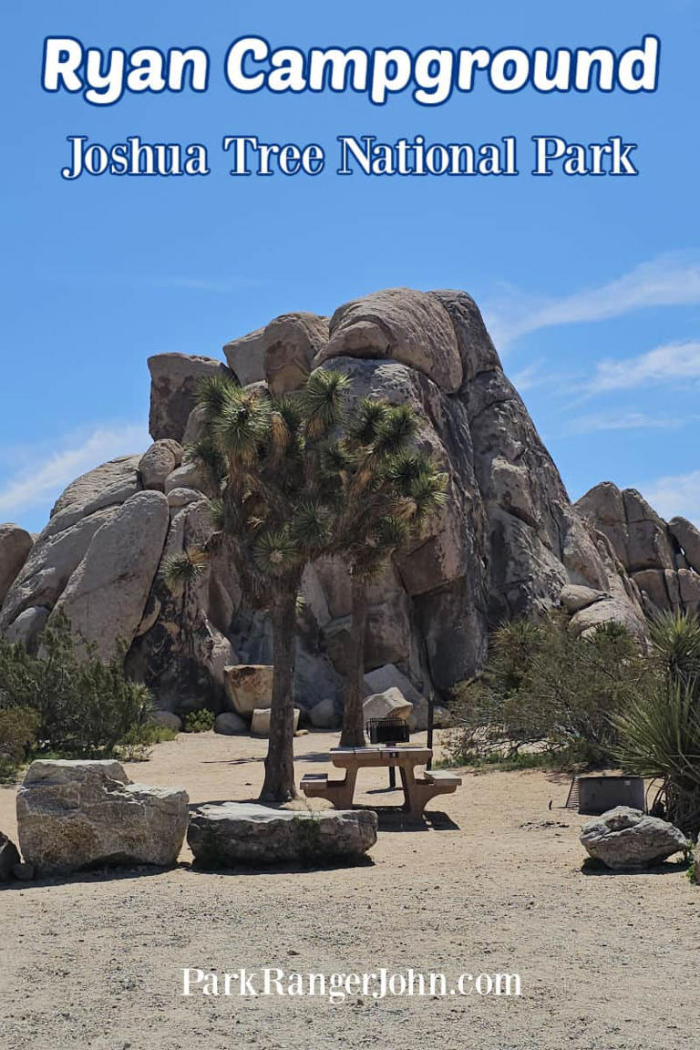 Ryan Campground - Joshua Tree National Park