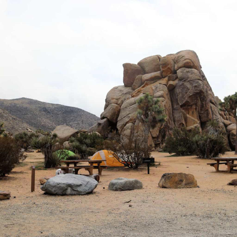 Ryan Campground - Joshua Tree National Park