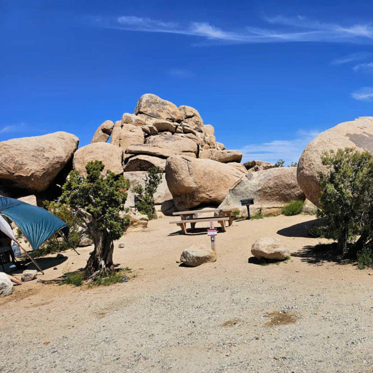 Ryan Campground - Joshua Tree National Park