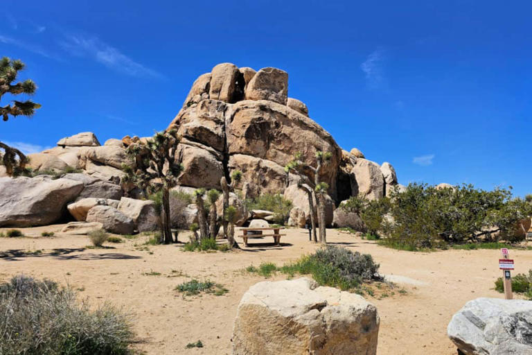 Ryan Campground - Joshua Tree National Park