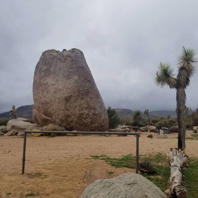 Ryan Campground - Joshua Tree National Park