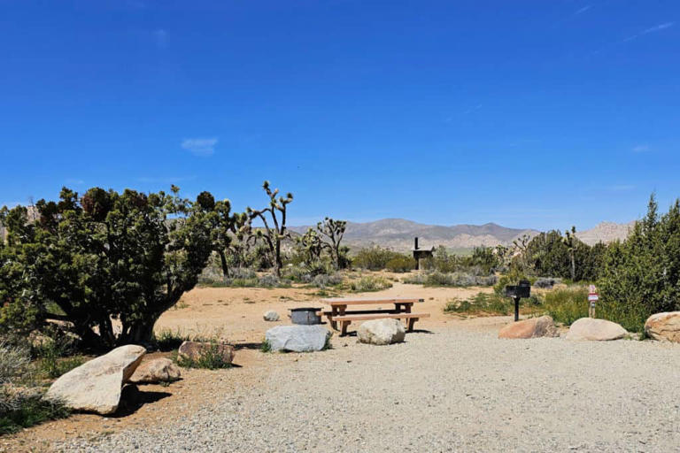 Ryan Campground - Joshua Tree National Park
