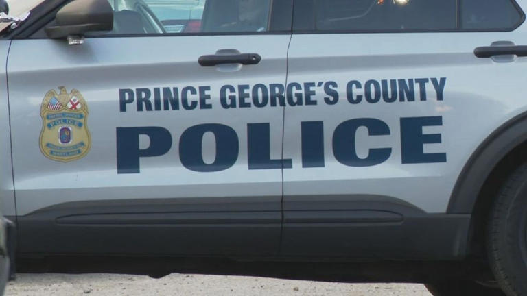 Woman killed by fallen tree in Prince George's County during Thursday ...