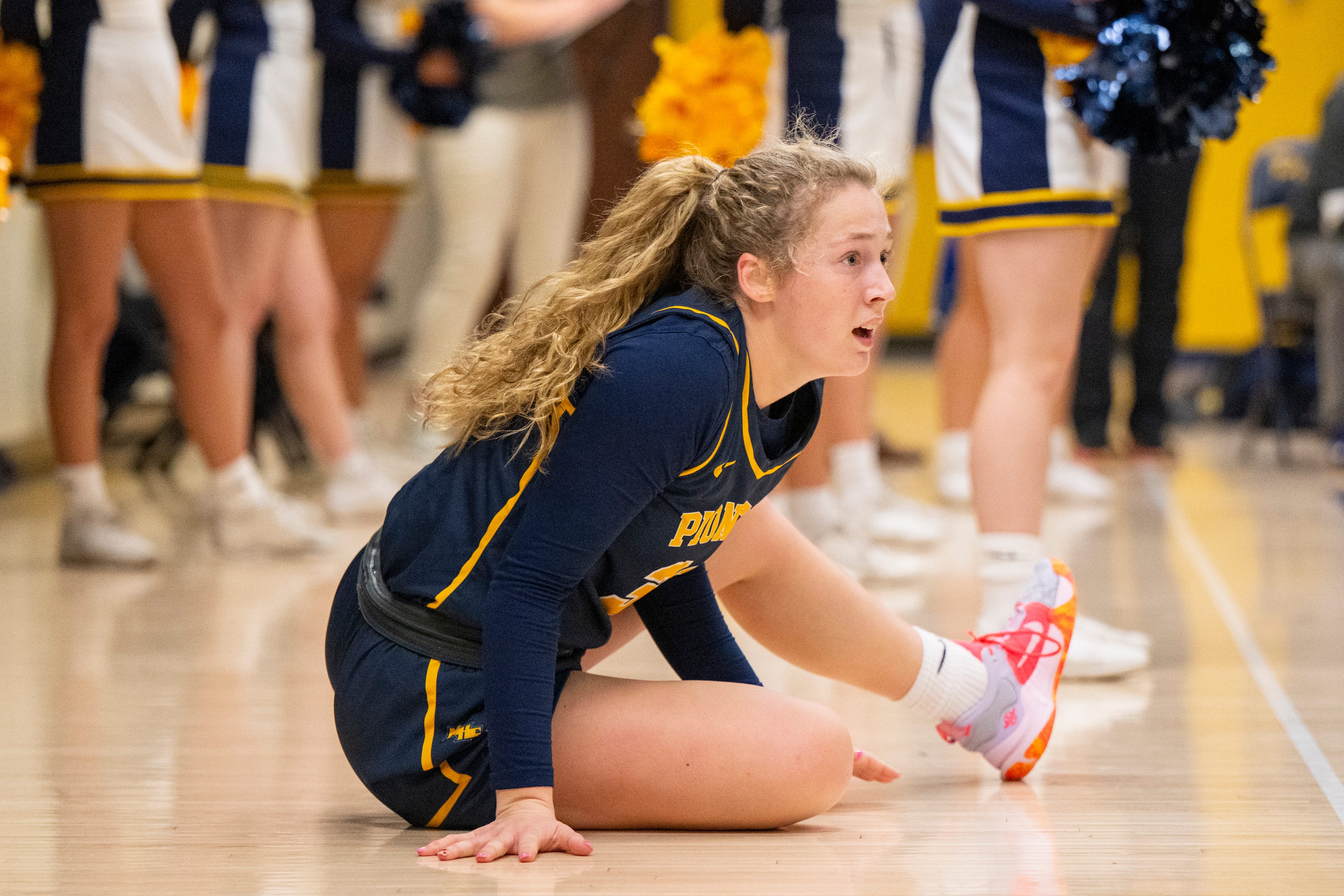 Shots, blocks & boards: Vote for IndyStar girls basketball players of ...