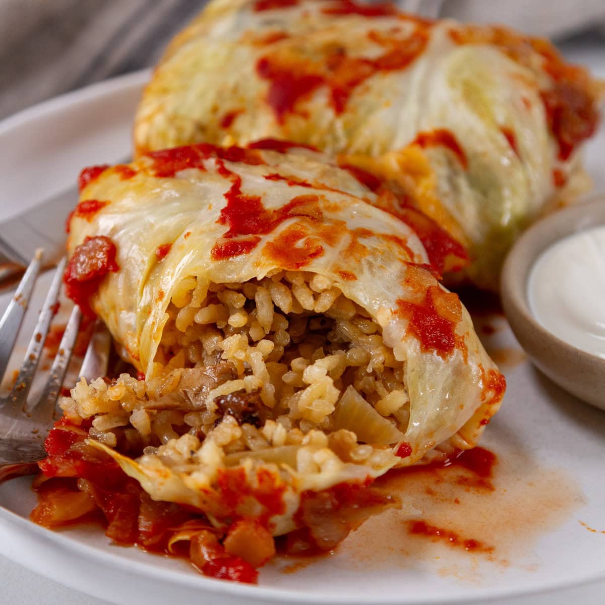 Ukrainian Cabbage Rolls (Holubtsi)