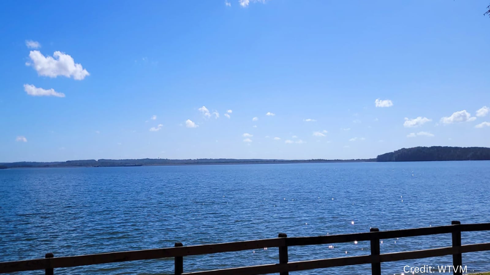 Georgia duck hunter identified after drowning in Lake Eufaula