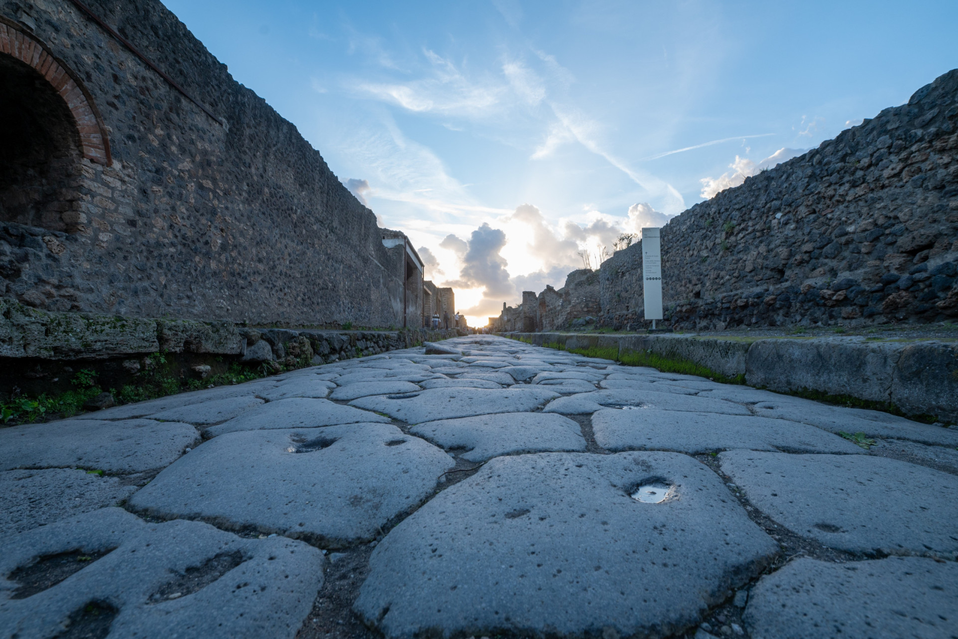 The Future Looks Grim For Birds Due To Climate Change