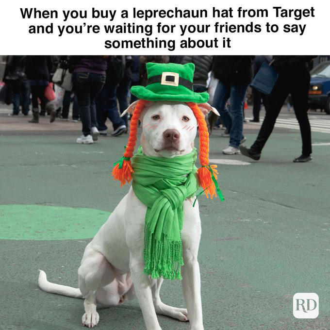 35 St. Patrick’s Day Memes That Shamrock