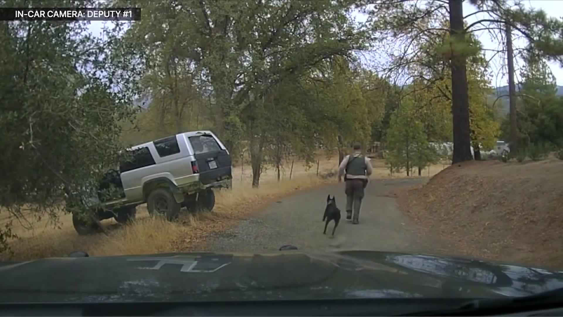 Madera County K-9 shot in newly released footage Madera County K-9 shot in newly released footage