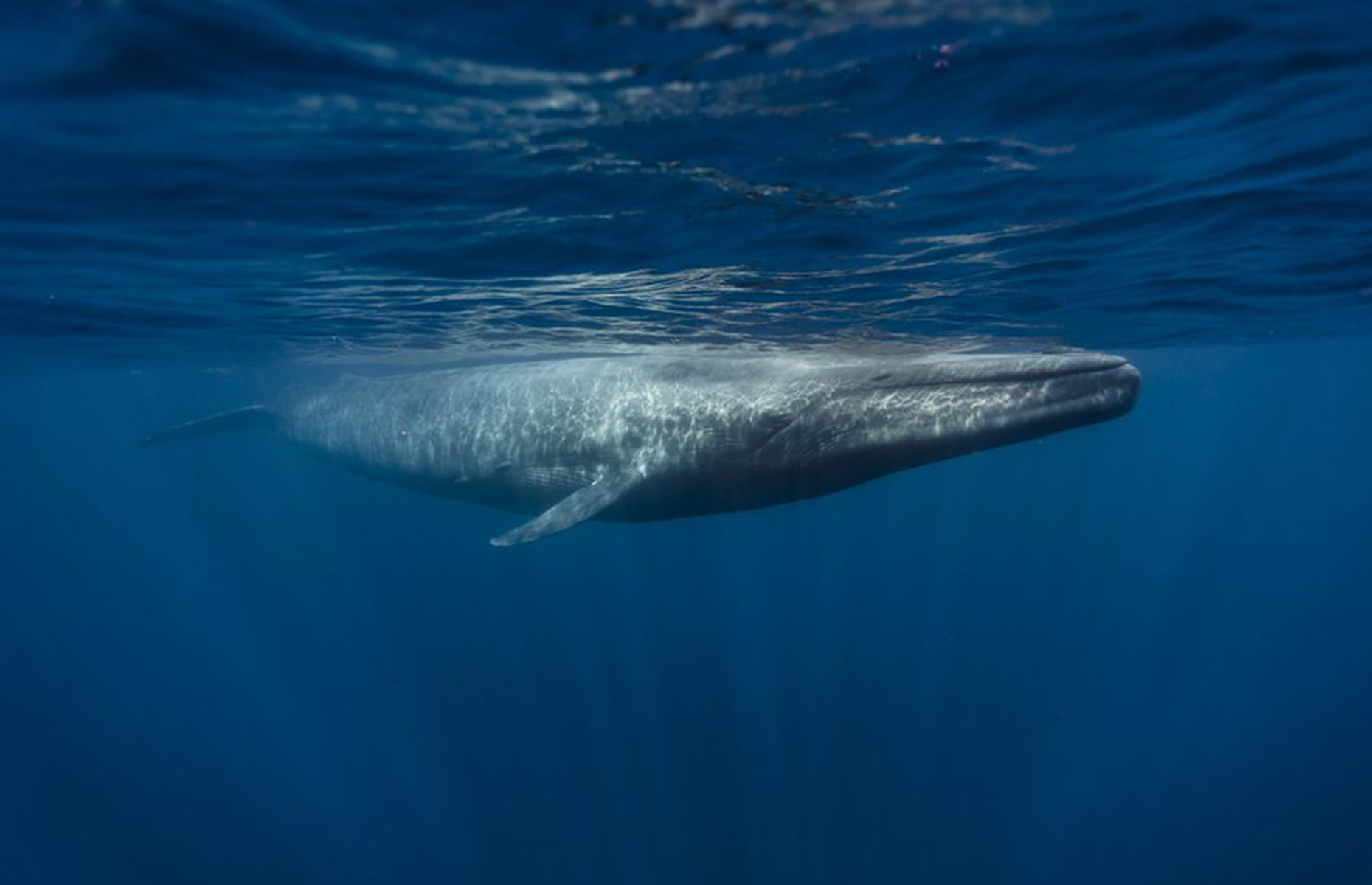 Science can’t yet fully explain these bizarre phenomena - Discover why