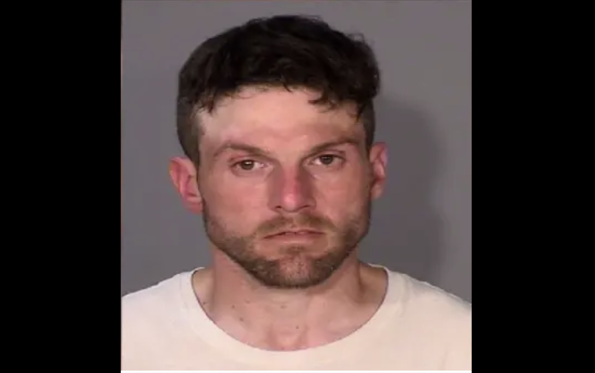 Charges: Roseville driver fleeing domestic assault report causes fatal ... Charges: Roseville driver fleeing domestic assault report causes fatal ...