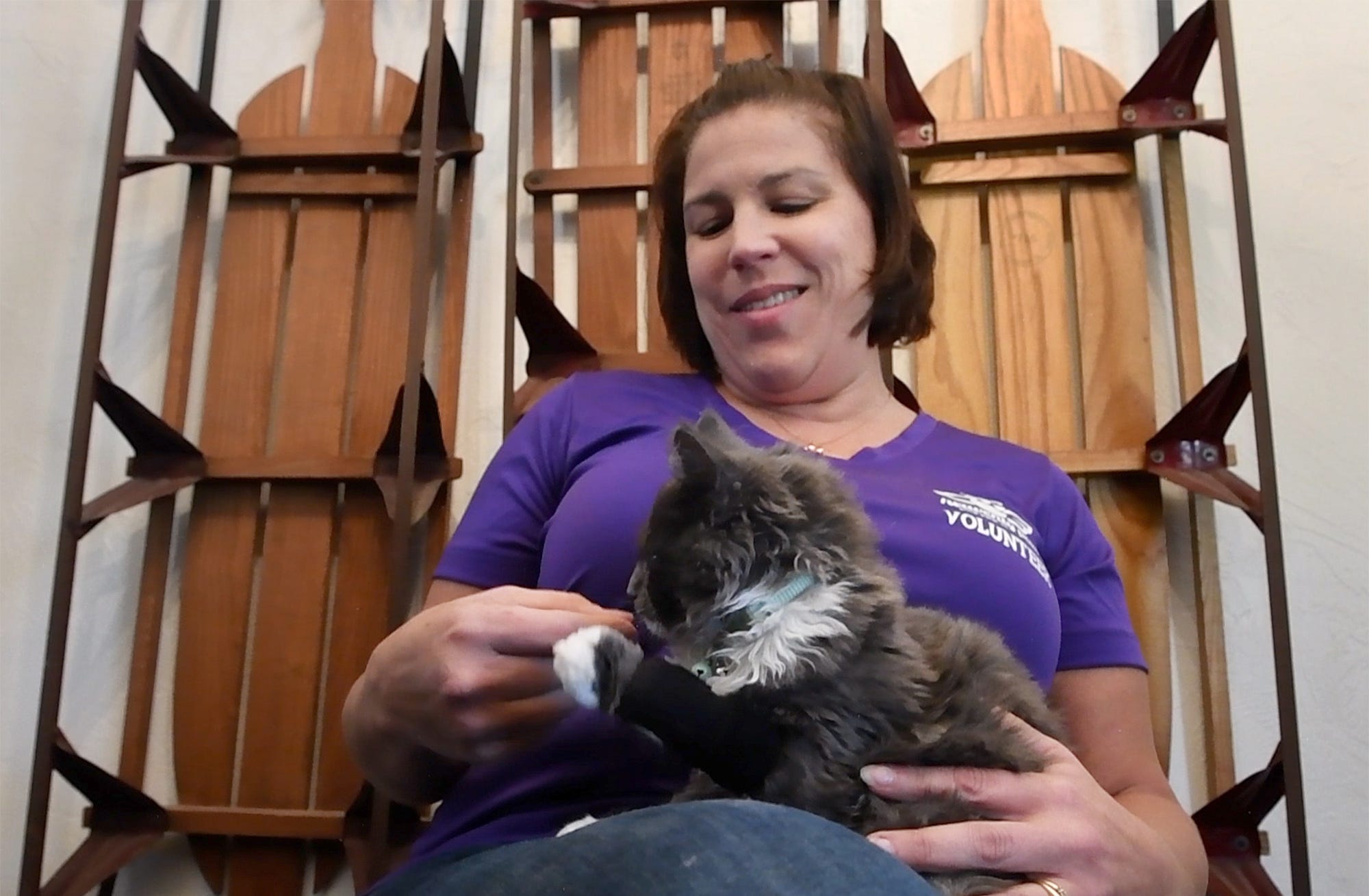 York County cat rescues are overwhelmed with stray felines. They blame ...