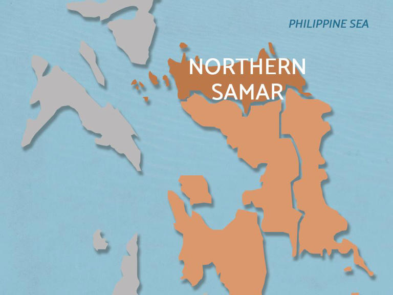 3 suspected NPAs killed in Northern Samar clashes — Army
